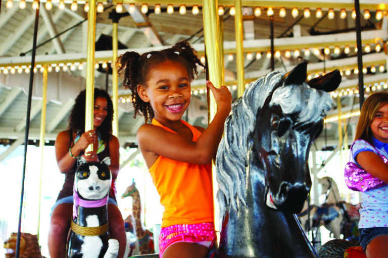 The Carousel Circuit | Leadership Alliance